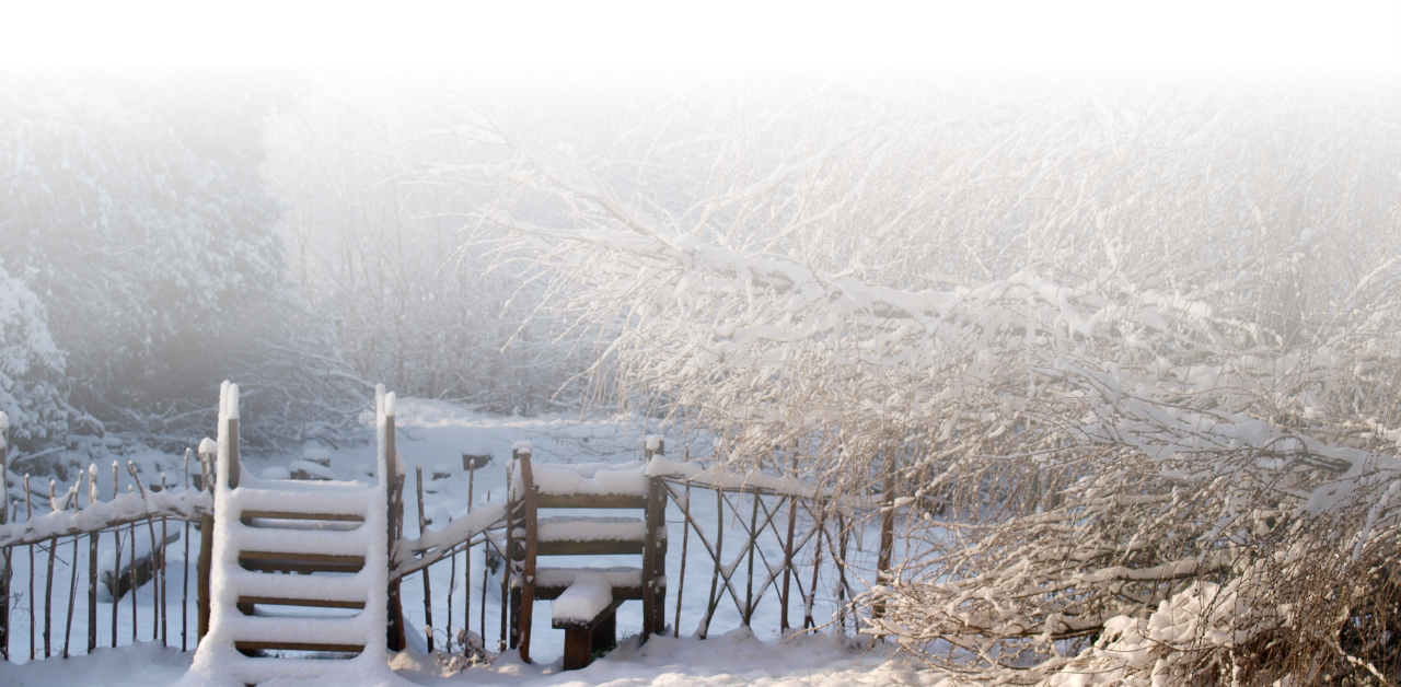 Tamarack Trails Community Services Association